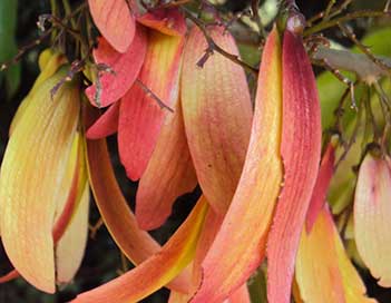 Naseera Botanical Garden